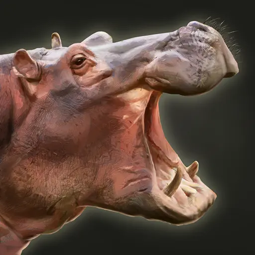 Nili the Playful Hippo | Units | AOE 3 Home City